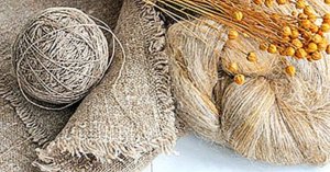 Le lin, histoire d'une culture écologique et durable - CiCi-consulting